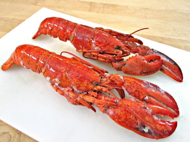 Comment cuisiner un homard : Un guide facile pour cuire le homard à l ...